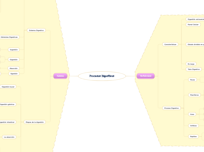 Procesos Digestivos - Mind Map